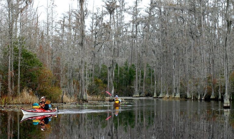 10 Of The Best Places To Kayak In Georgia | SeaKayakExplorer