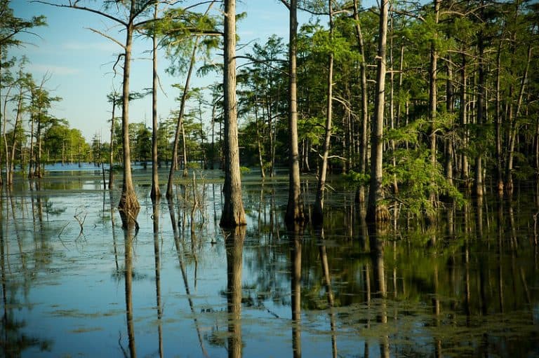 The 10 Best Places To Kayak In Louisiana | SeaKayakExplorer