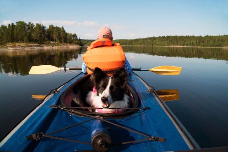 The 7 Best Kayaks For Dogs In 2023 SeaKayakExplorer