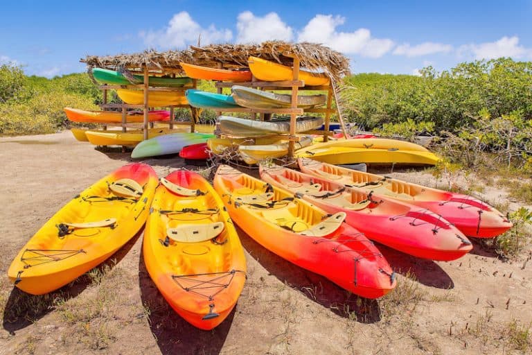 How Much Does A Kayak Cost? (Rough Guide) | SeaKayakExplorer