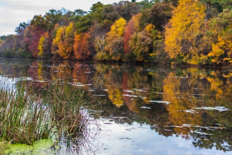 The 10 Best Places To Kayak In Wisconsin | SeaKayakExplorer