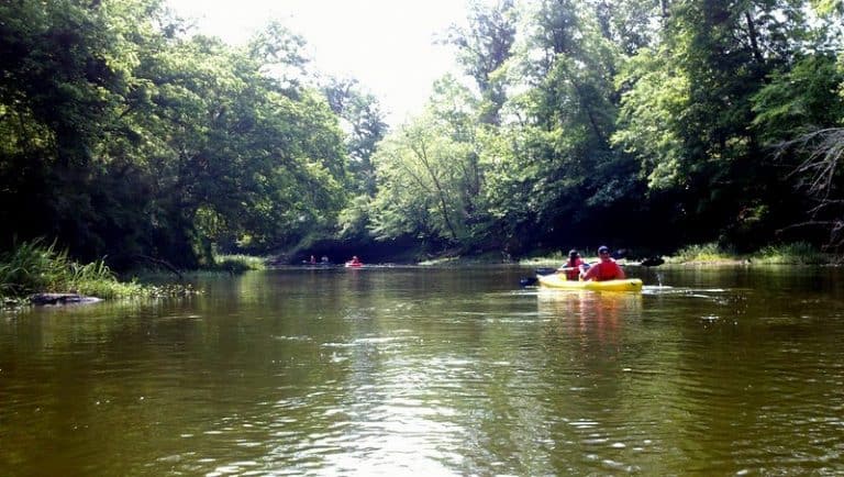 The 10 Best Places To Kayak Near Raleigh | SeaKayakExplorer